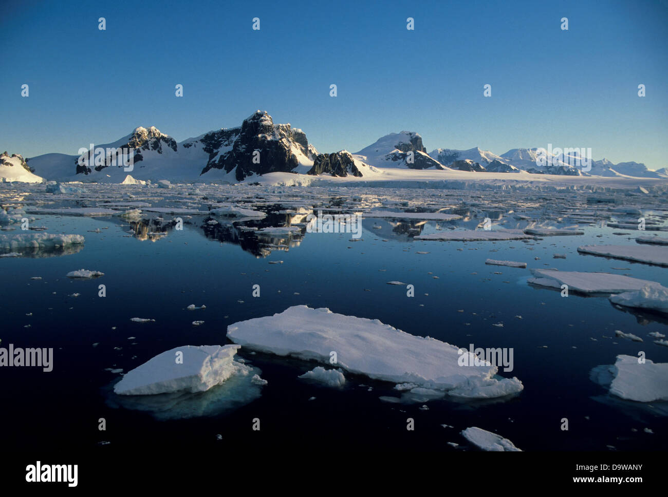 Antarctic Peninsula Area, Mountains And Ice, Evening Light Stock Photo ...