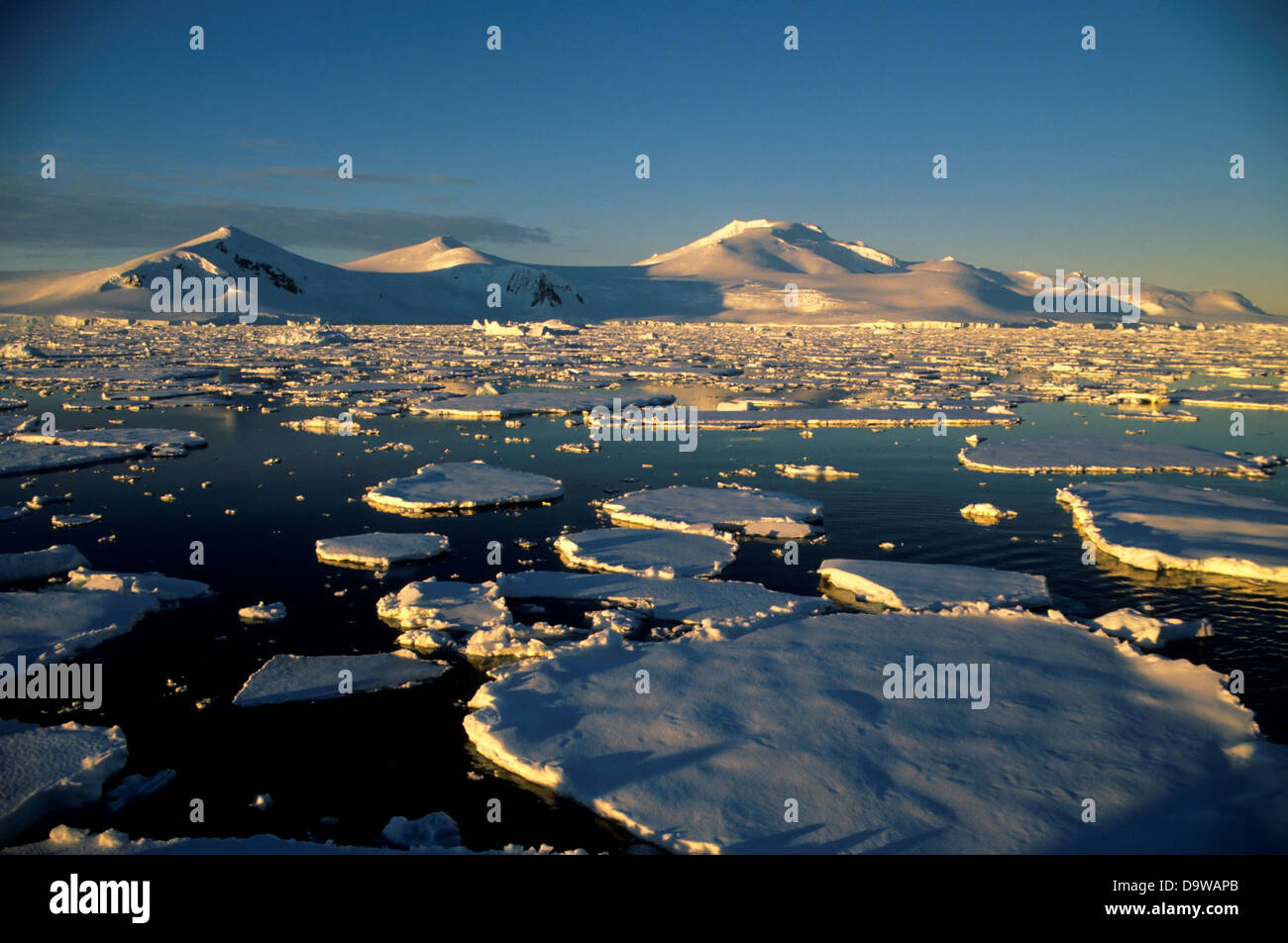 Antarctic Peninsula Area, Mountains And Pack Ice, Evening Light Stock ...