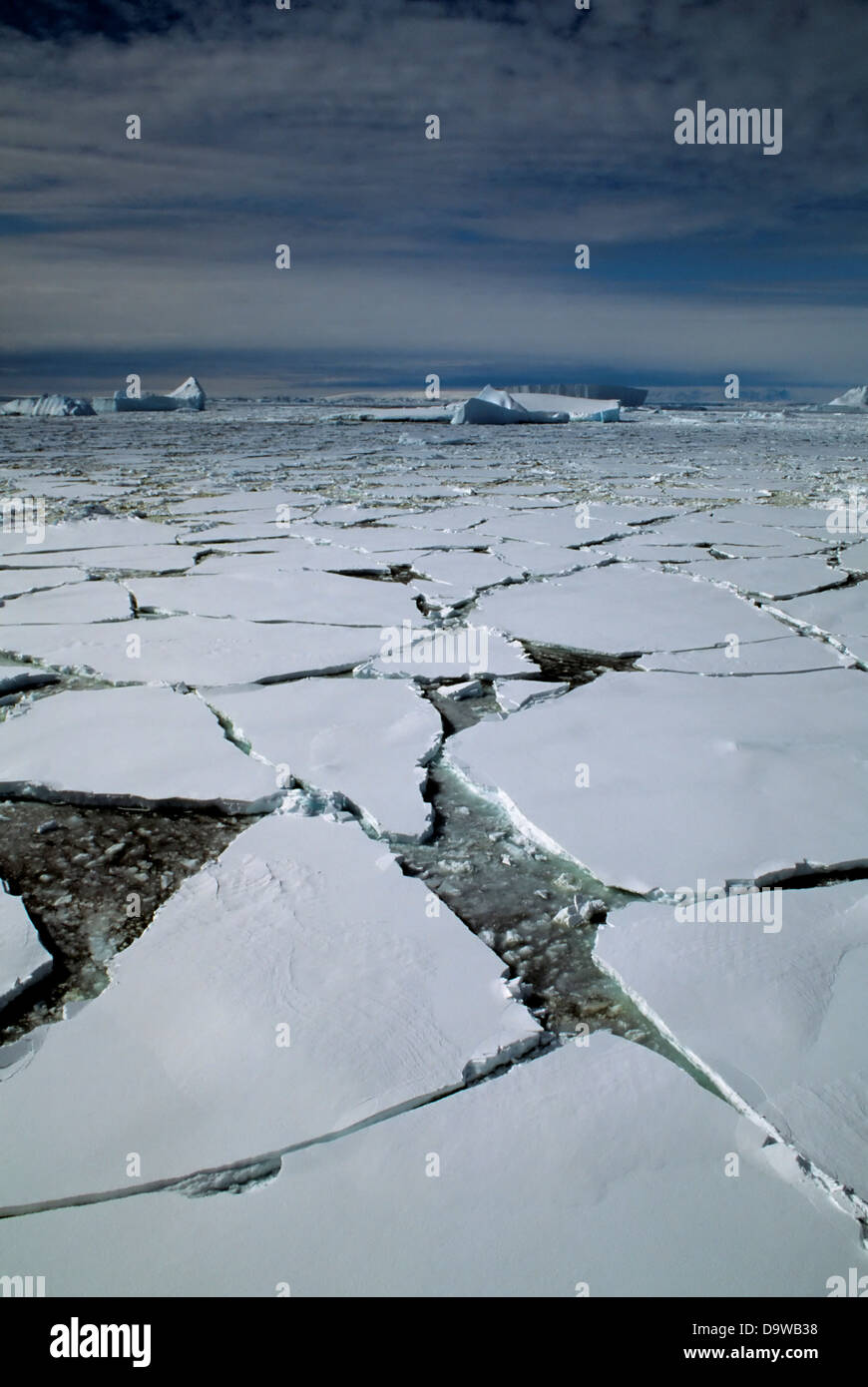 Adelaide island antarctica hi-res stock photography and images - Alamy