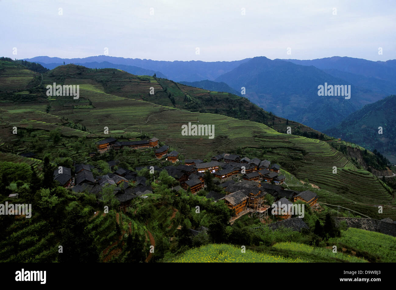 China, Guangxi Province, Near Guilin, Longji Area, Terraced Fields And ...