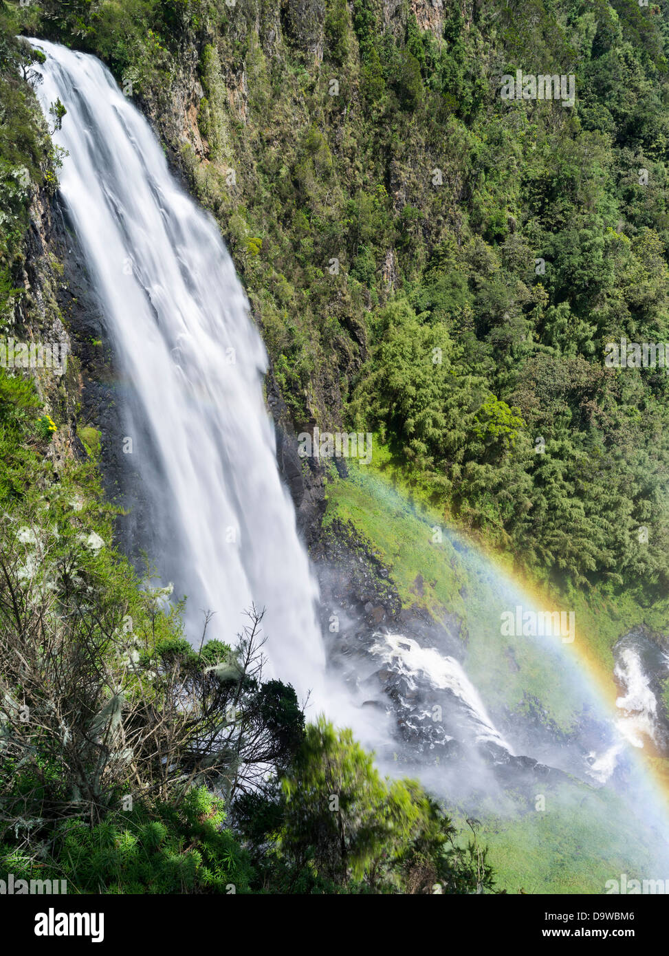 Karura Falls tumbles more than 300m into an abyss, Aberdare National ...
