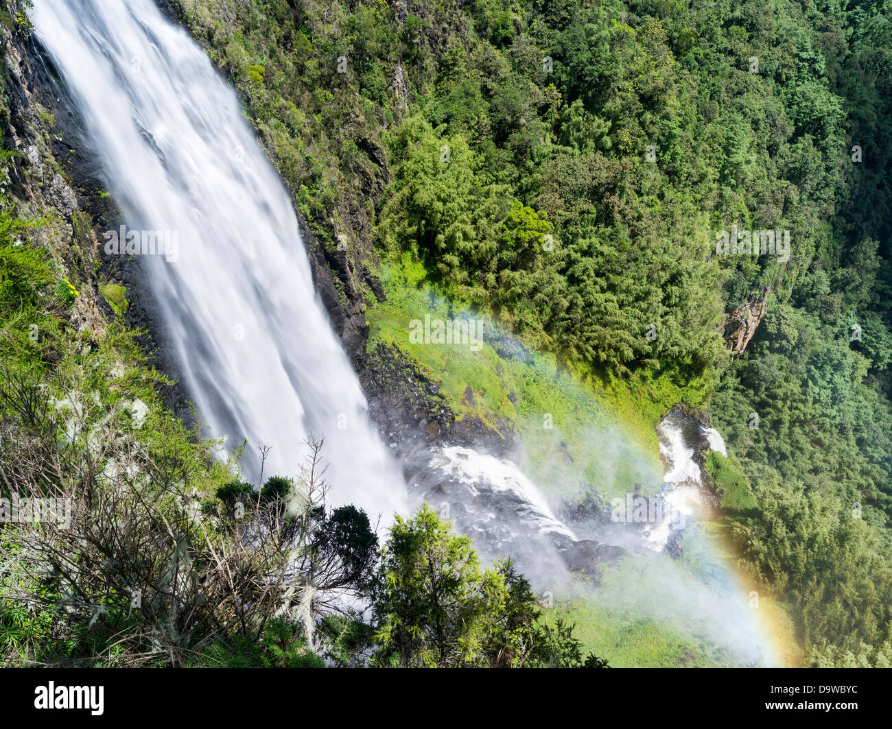 Aberdare national park, kenya hi-res stock photography and images - Alamy