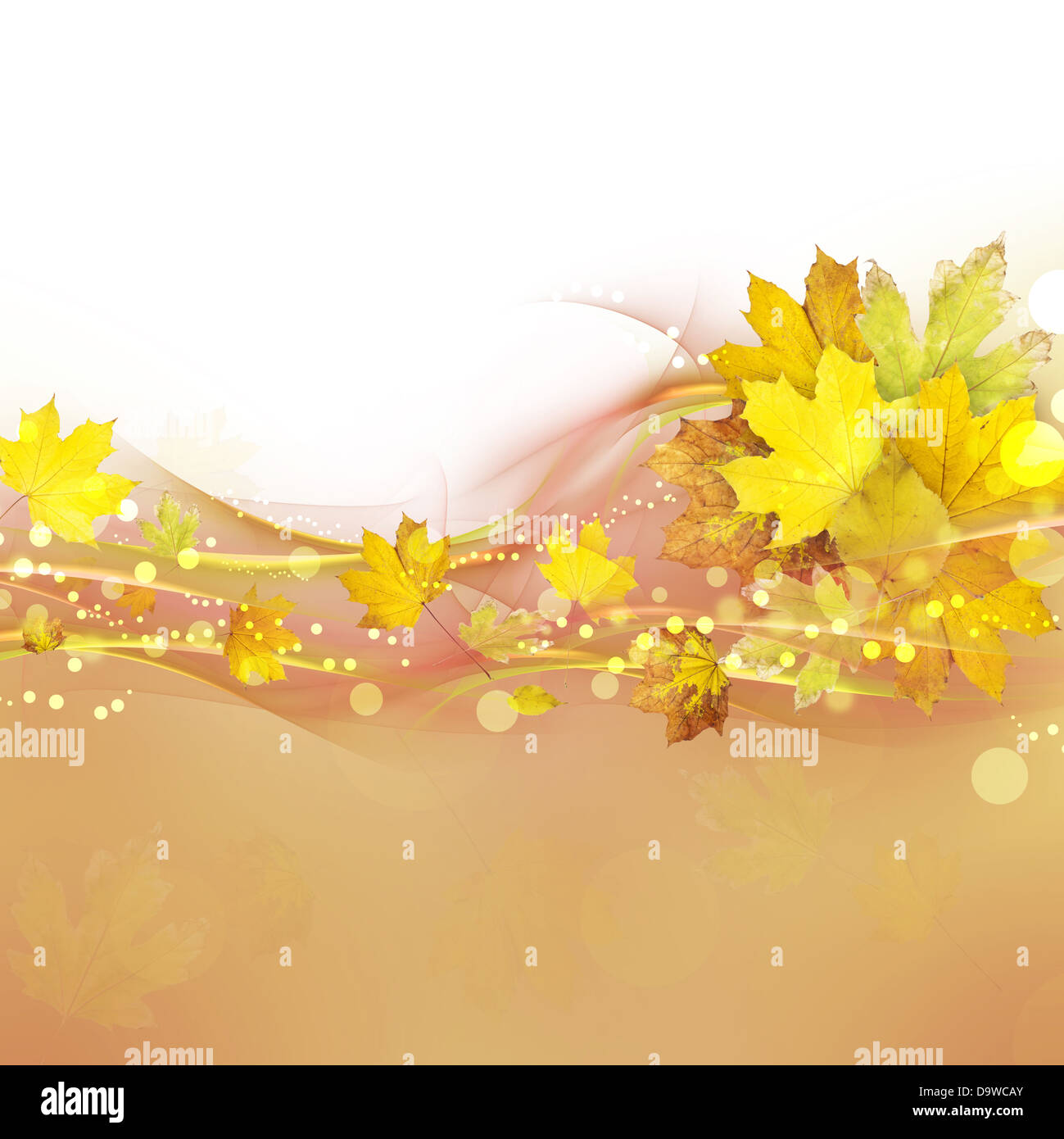 autumn leaves with elegantly curved Stock Photo - Alamy