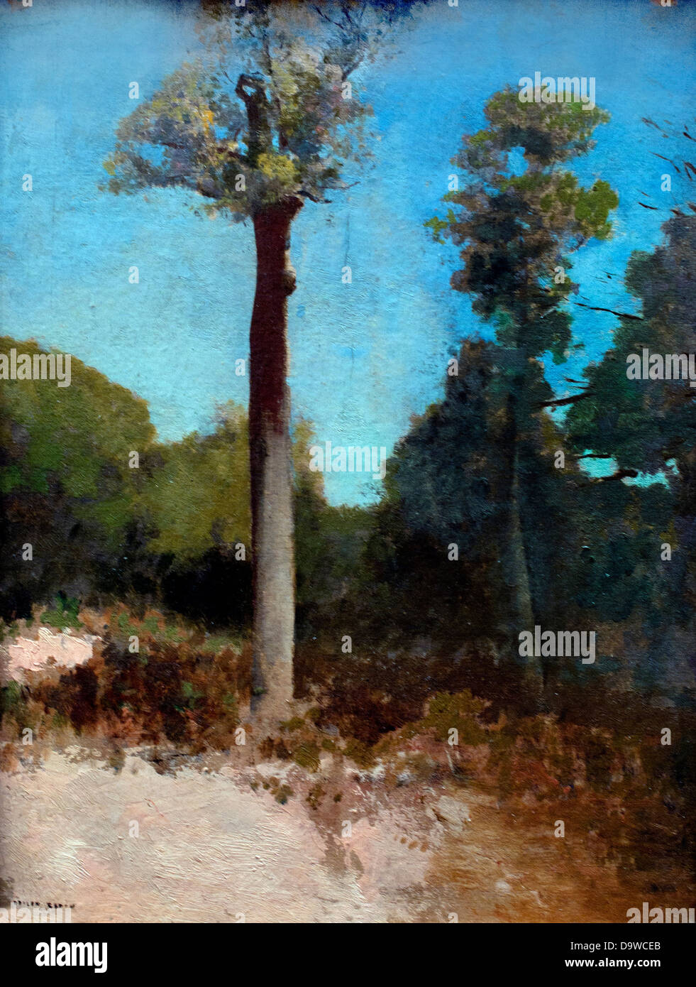 L'Arbre - The tree by Odilon Redon 1840-1916 France Stock Photo - Alamy