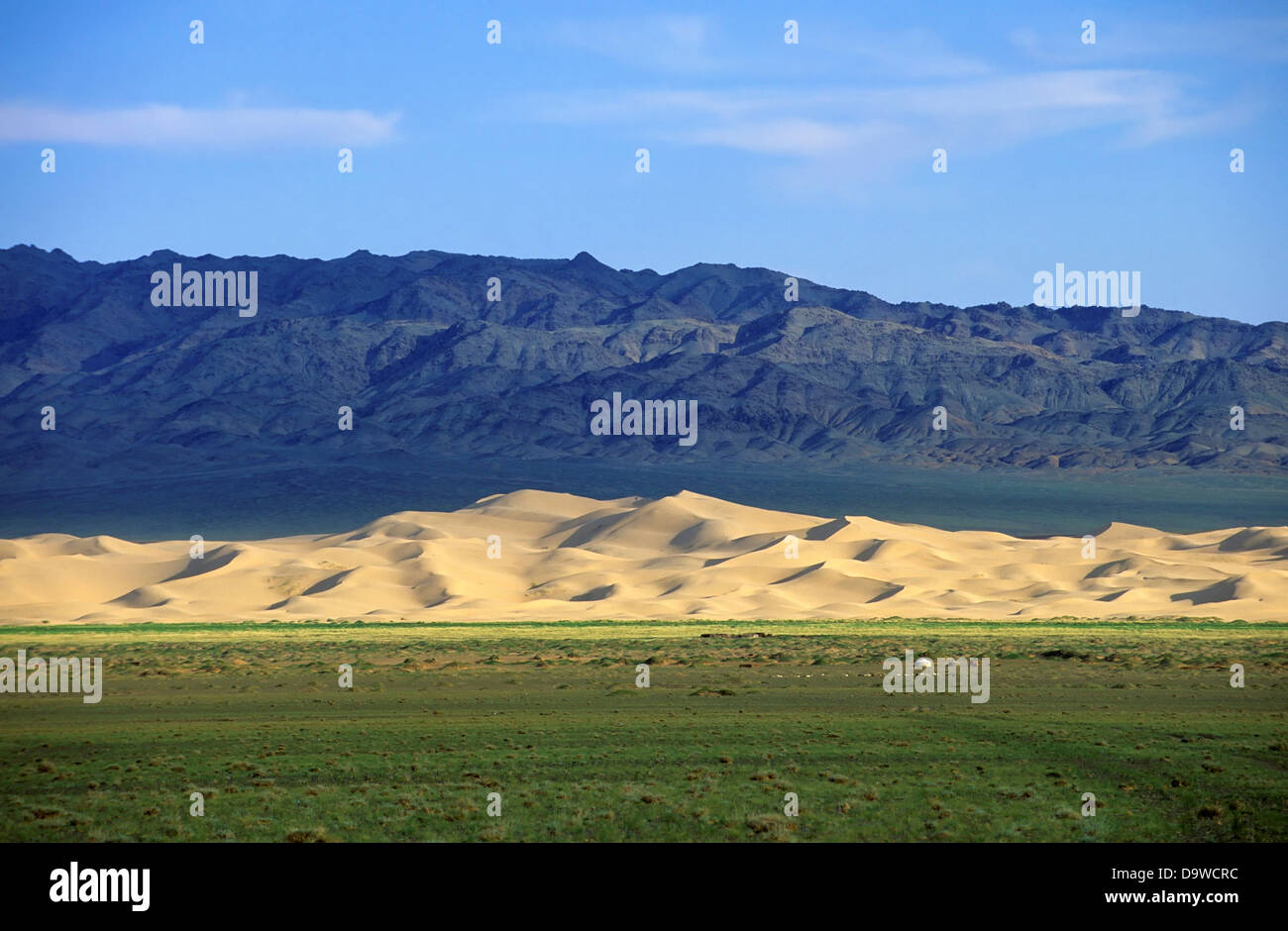 Mongolia, Near Dalanzadgad, Gobi Desert At Khongoryn Els (Sand Dunes ...