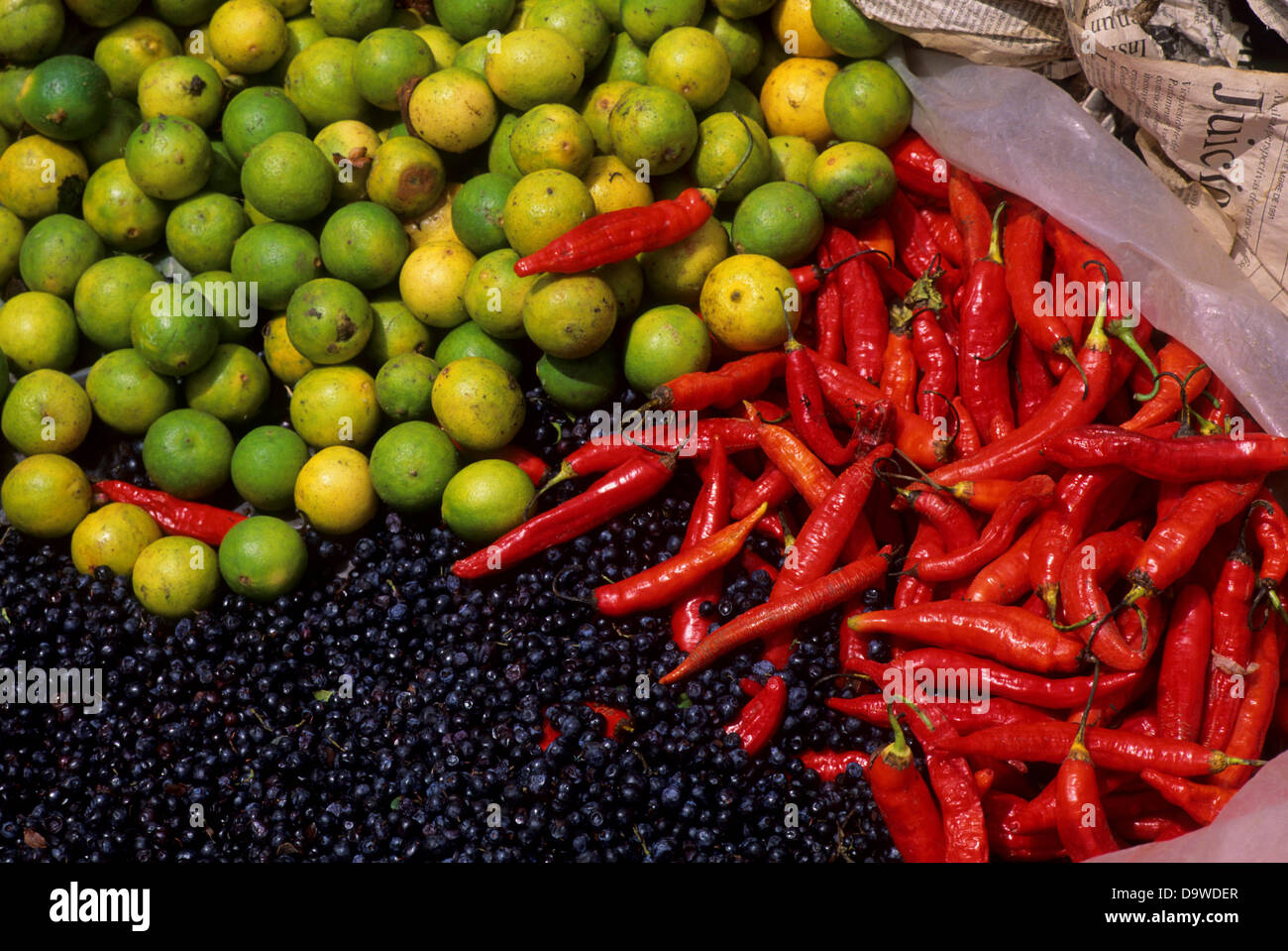 Ecuador, Highlands, Pujili, Local Indian Market, Closeup Of Peppers ...