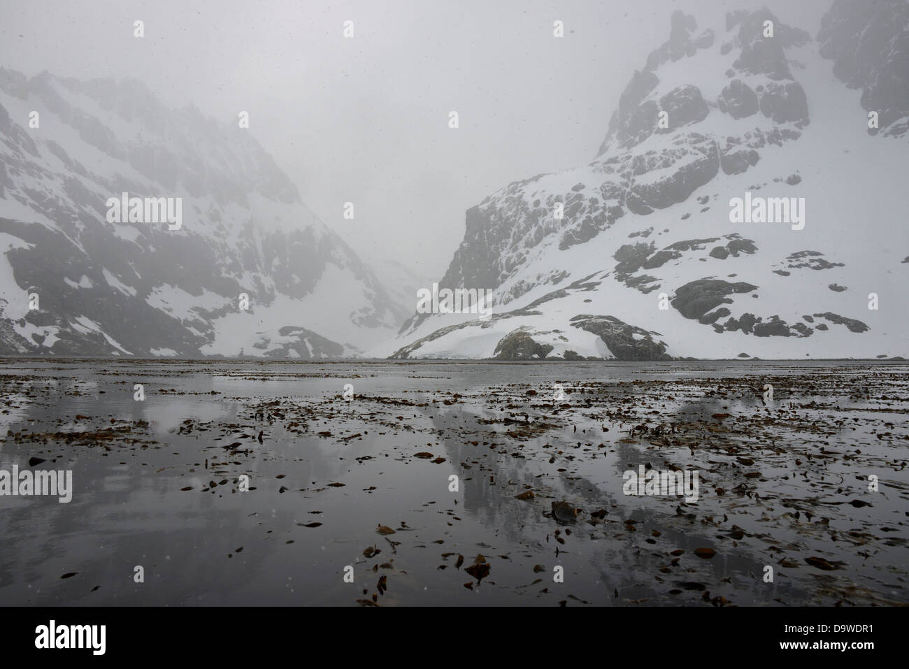 UK, South Georgia, Drygalski Fjord, Snowfall at Larsen Harbor Stock ...