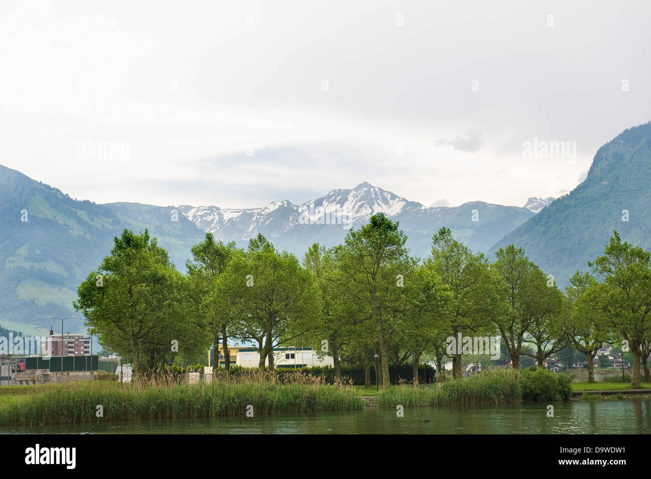 Switzerland, Lucerne lake, landscape Stock Photo - Alamy