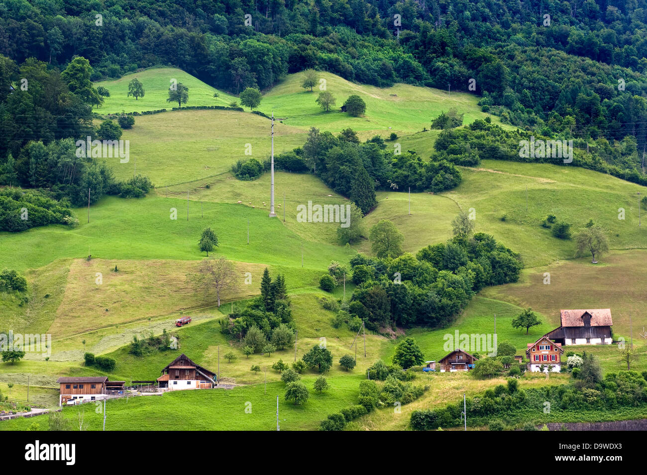 Switzerland, Lucerne lake, landscape Stock Photo - Alamy