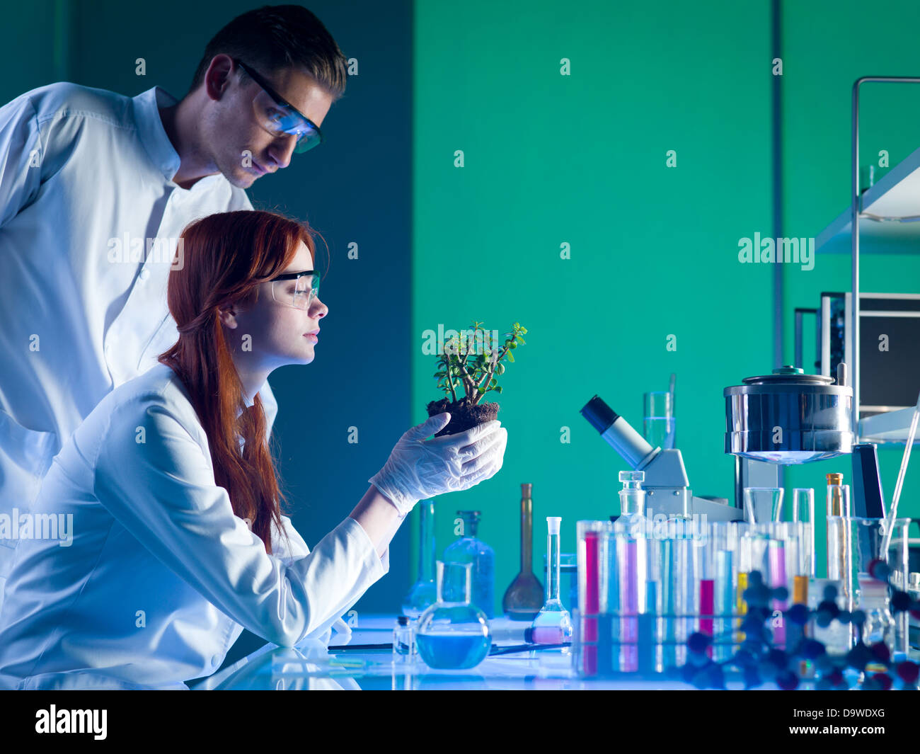side view of biochemists studying a young green plant in a laboratory ...