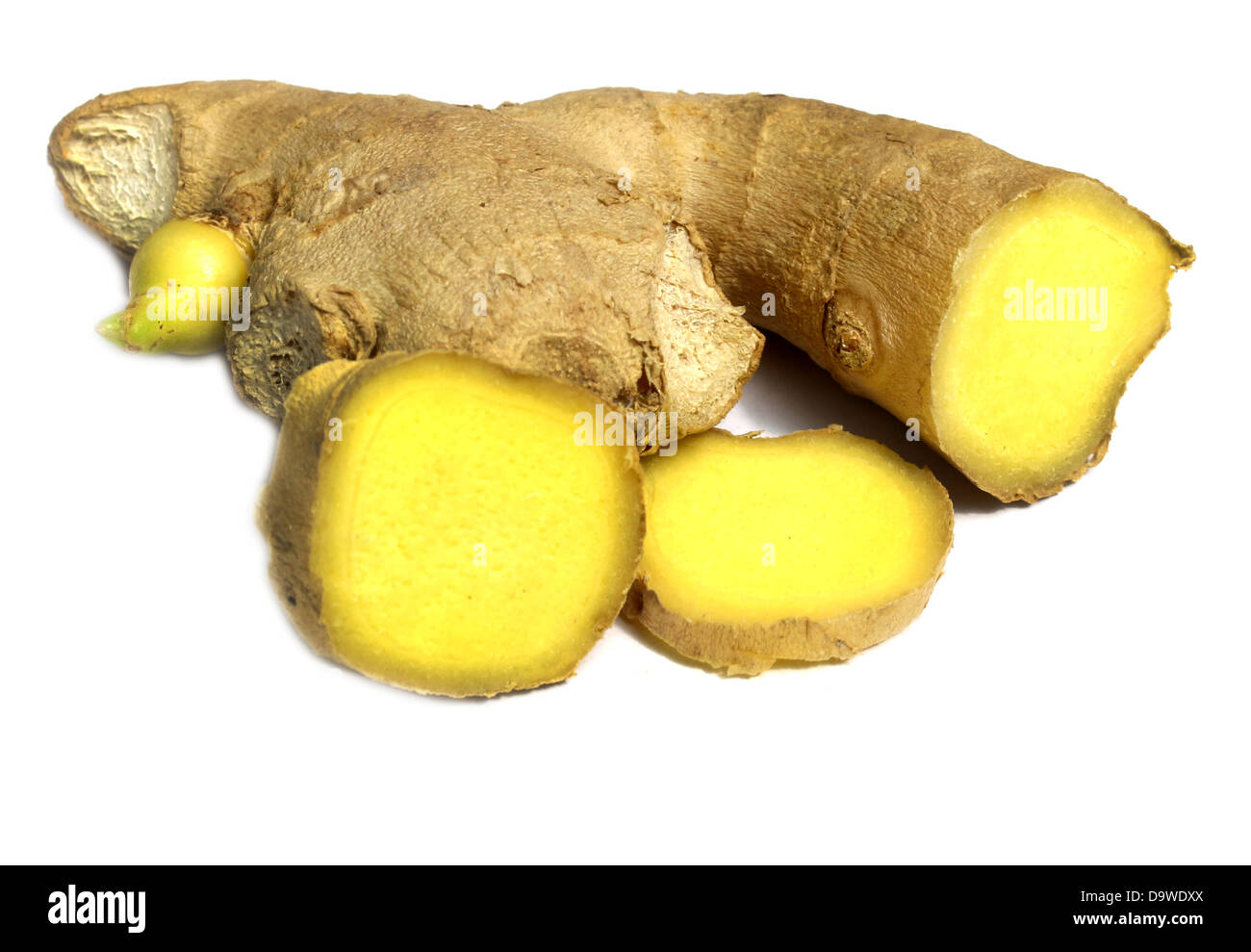 Image of ginger Cut Out Stock Images & Pictures - Alamy