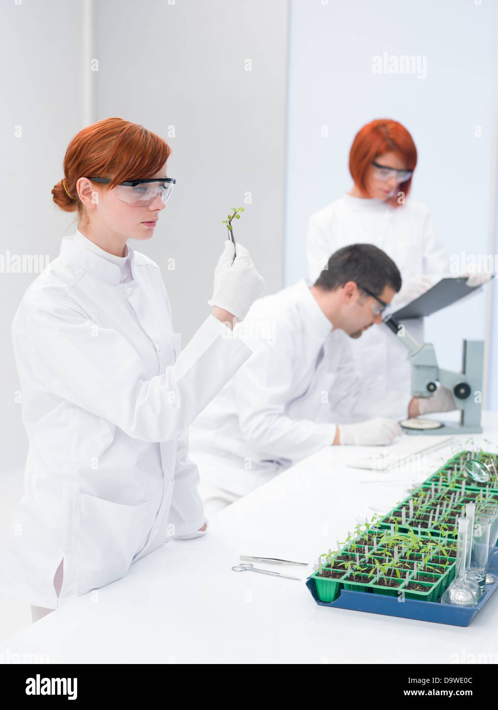 Scientists in a genetic engineering laboratory monitoring the ...