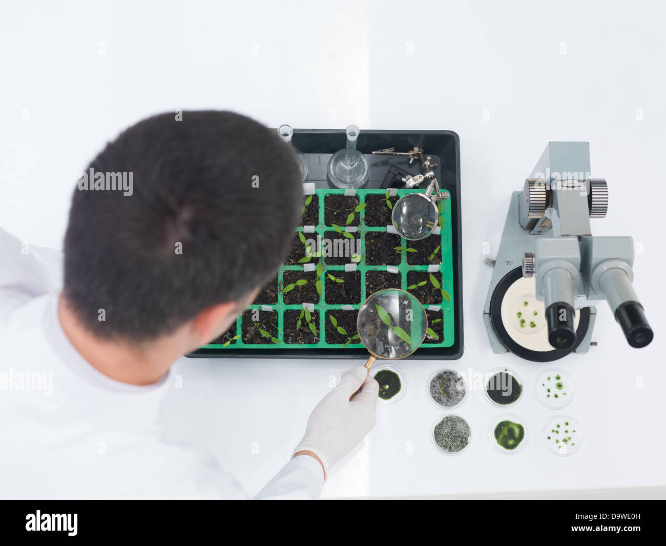 Man working over shoulder angle hi-res stock photography and images - Alamy