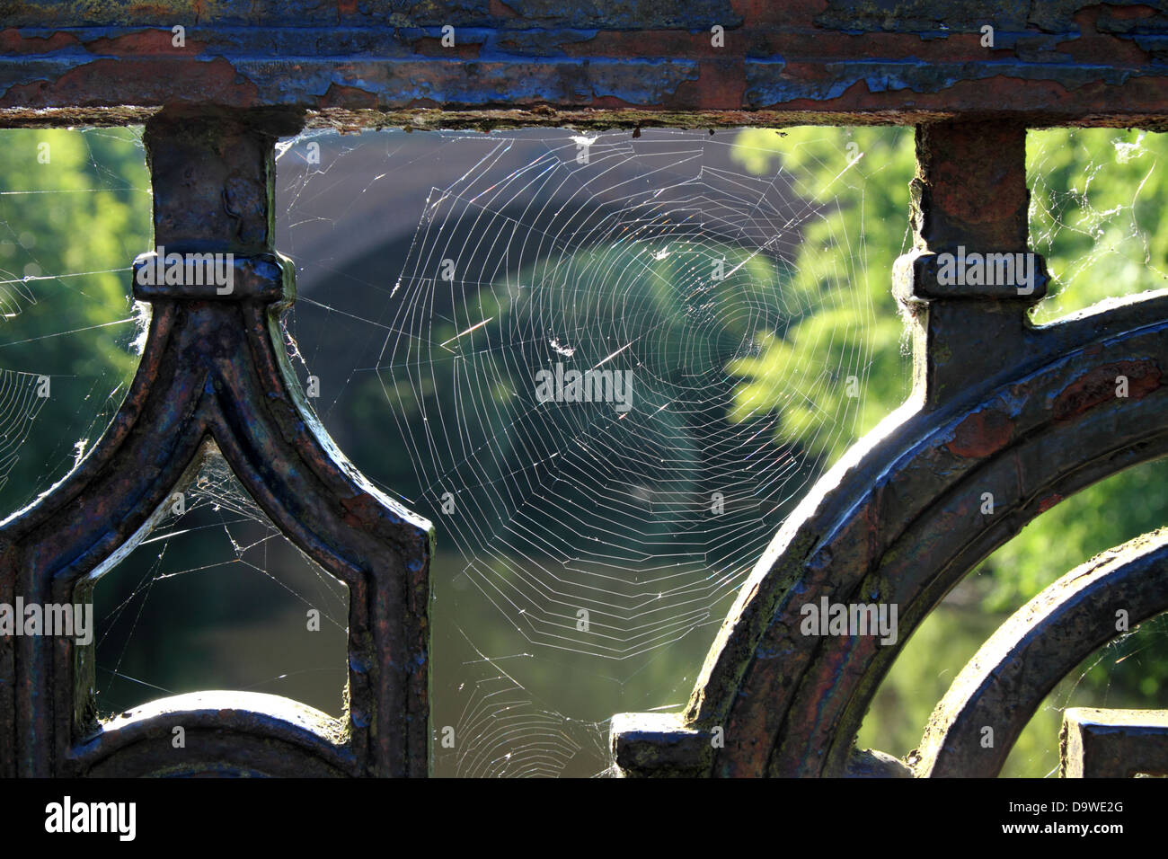 a spider web in an iron bridge fence with a backlit sunlight Stock ...
