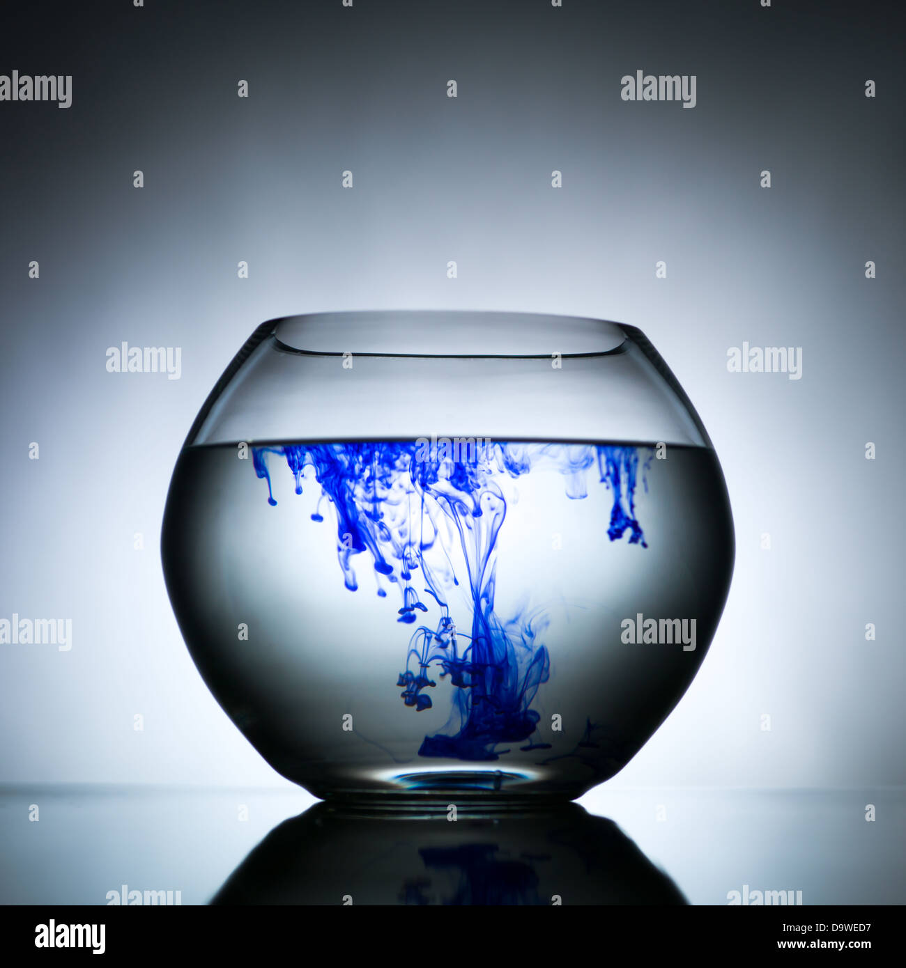 spherical bowl filled with a transparent solution which is blending ...