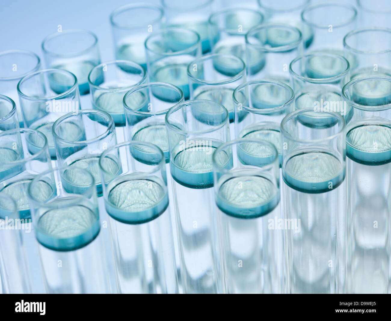Close up of many transparent glass beakers full of colourless solution ...