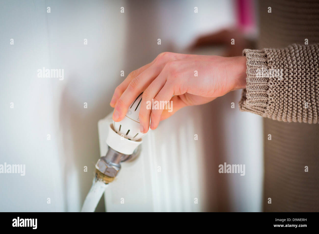 Woman adjusting a thermostatic radiator valve on a domestic radiator ...