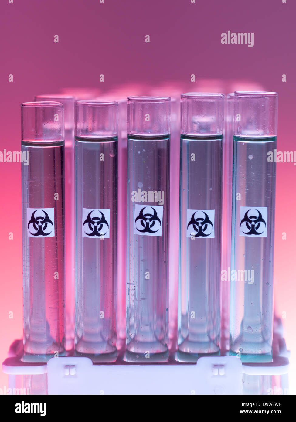 front view of experimental test tubes filled with transparent gray ...