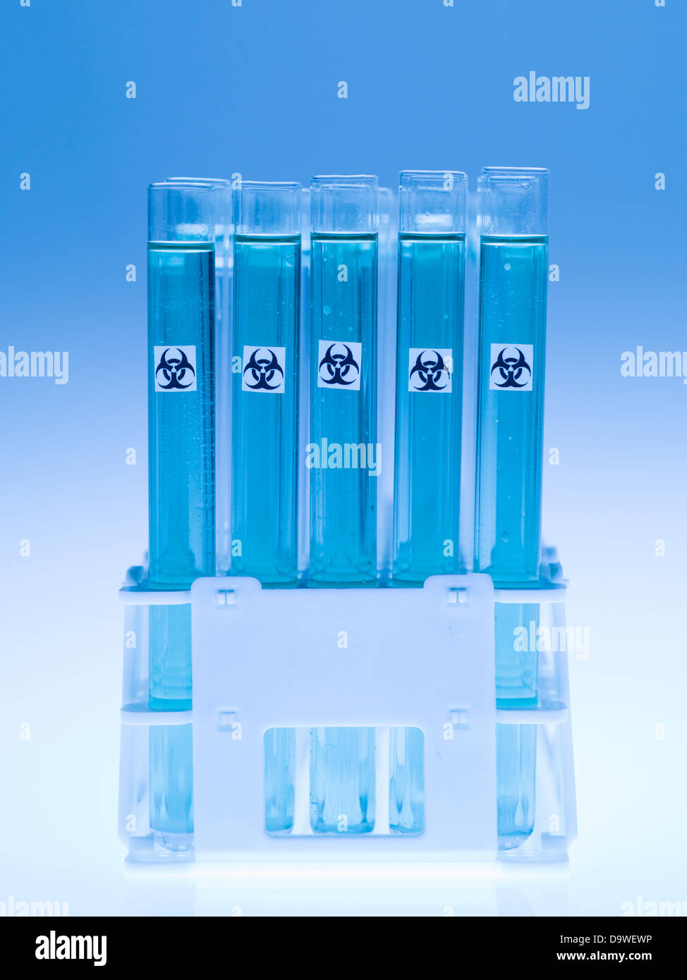 front view of experimental test tubes filled with transparent blue ...