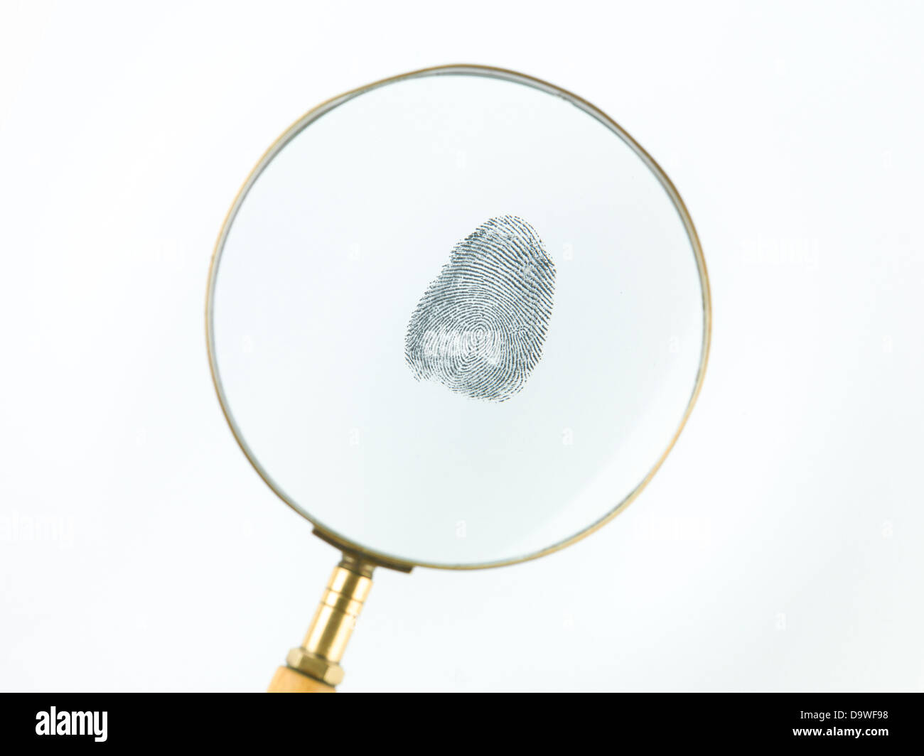 top view of a fingerprint viewed through a magnifying glass, against a ...