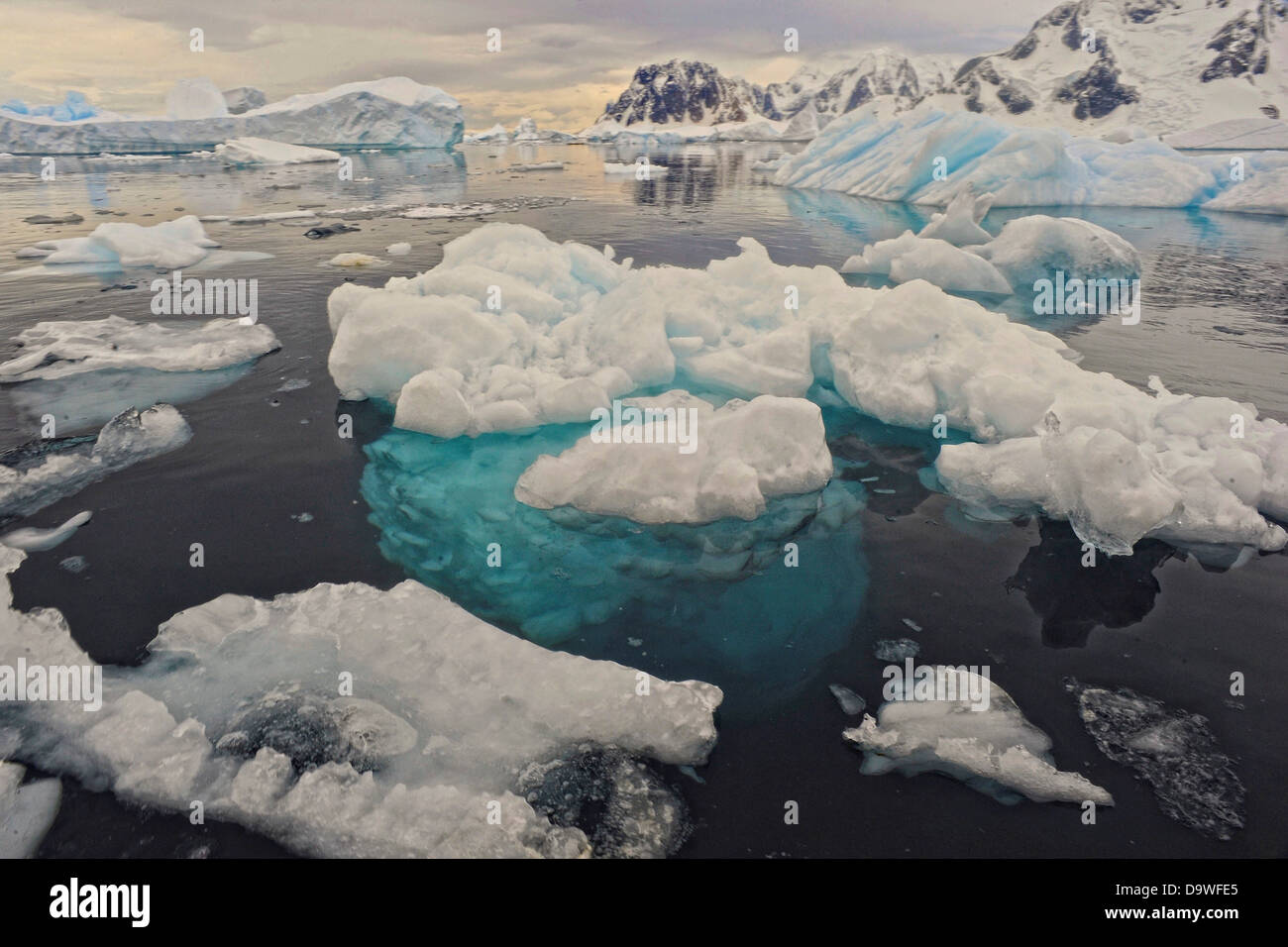 Antarctic, Pleneau Island, Glacier parts floating on perfectly clear ...