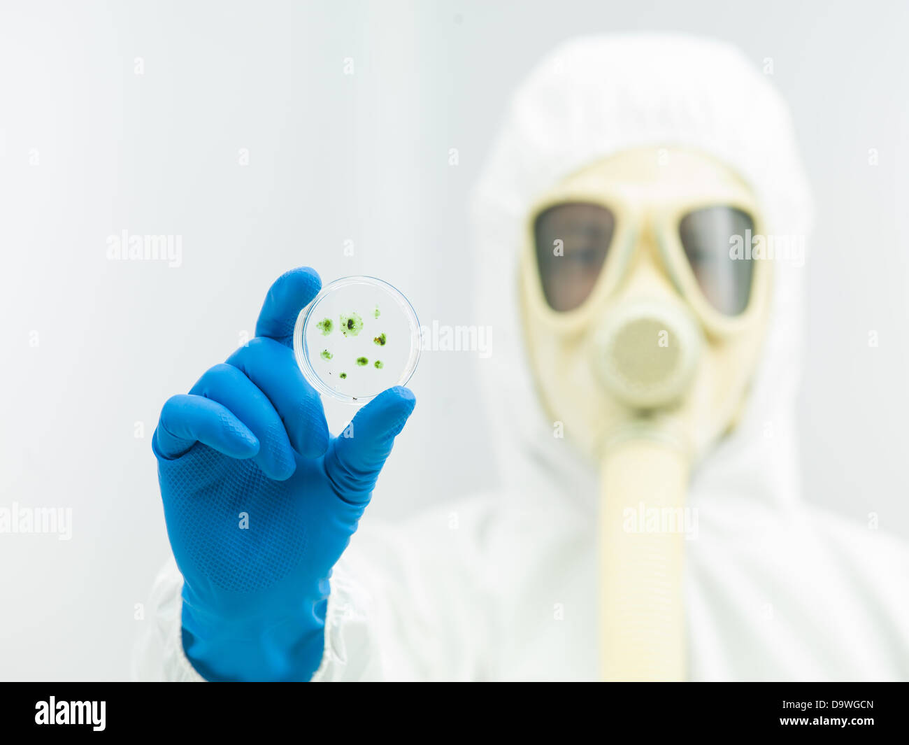 person in protective suit and gas mask holding a petri dish containing ...