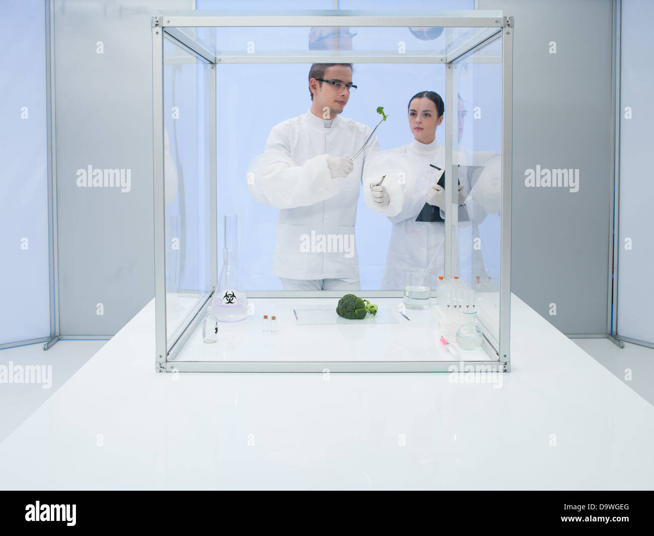 two scientists in a lab, a man and a woman, studying a vegetable in a ...