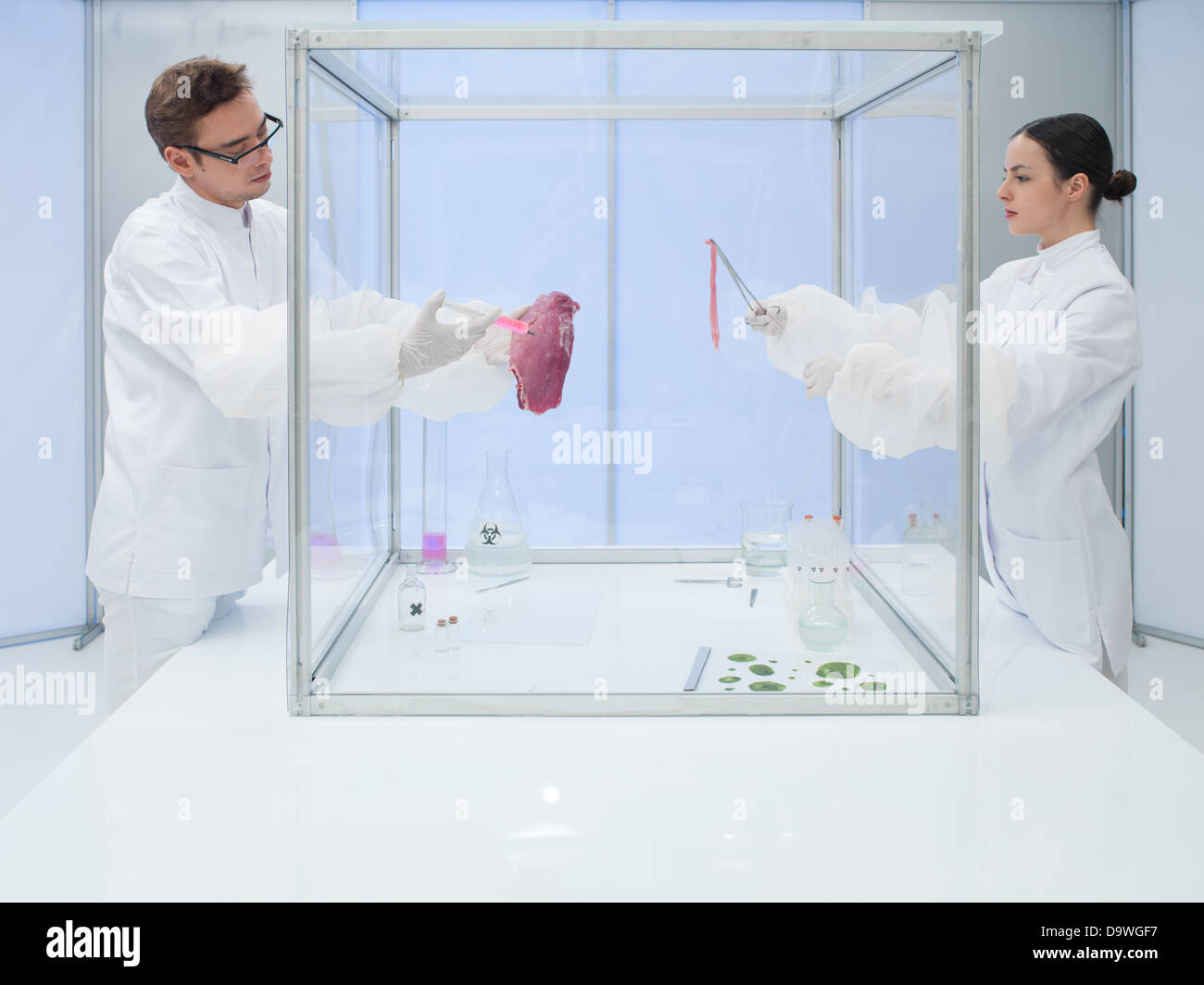 Meat testing team hi-res stock photography and images - Alamy