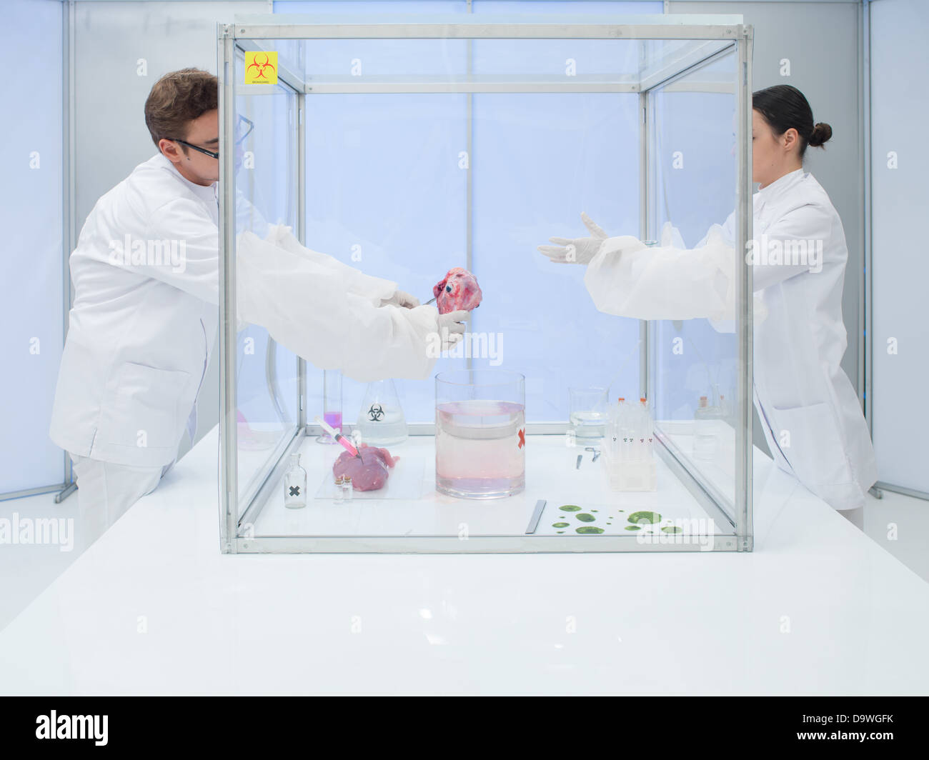 two scientists in the lab, a man and a woman, experimenting on a chunk ...