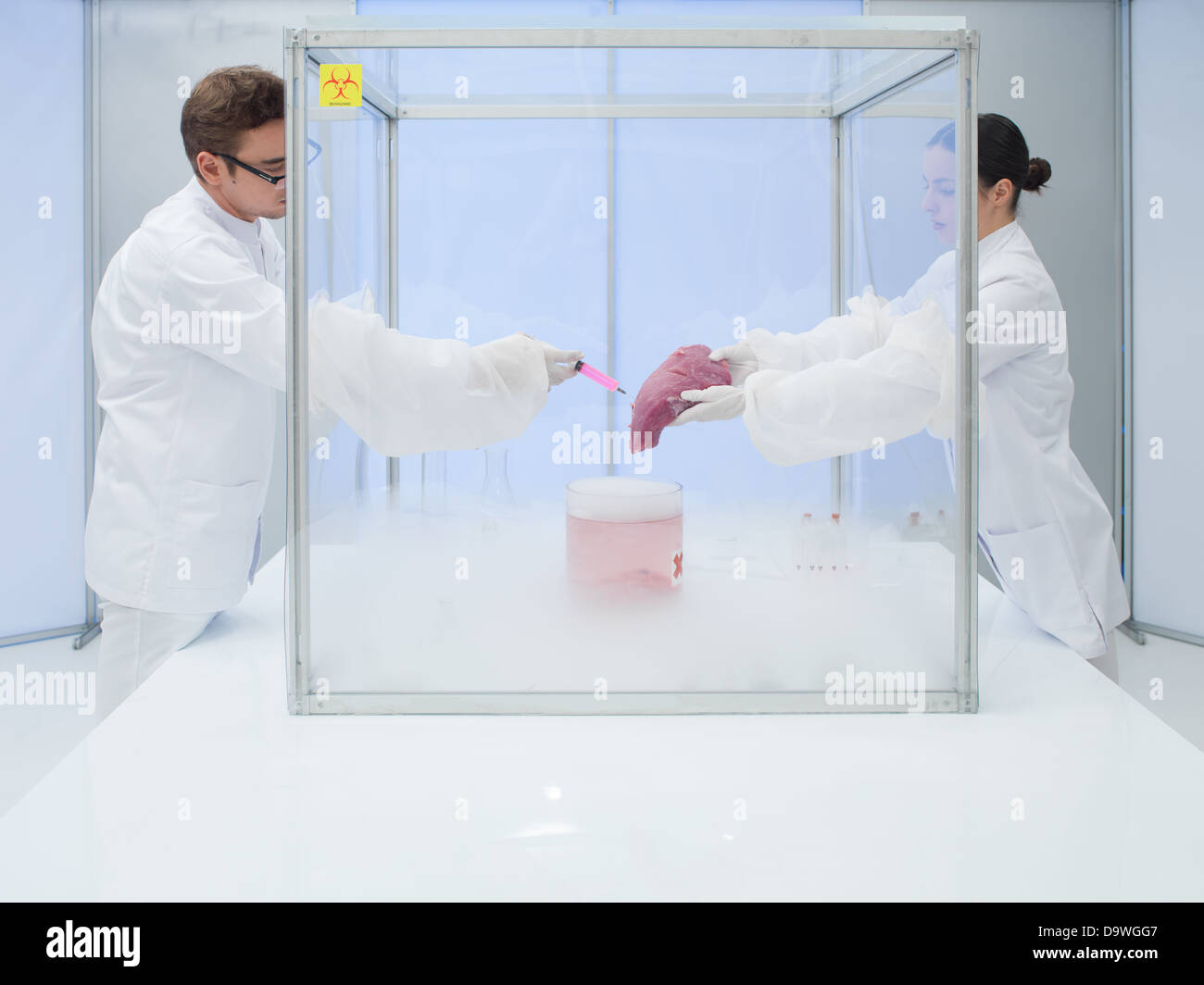 two scientists in the lab, a man and a woman, experimenting with liquid ...