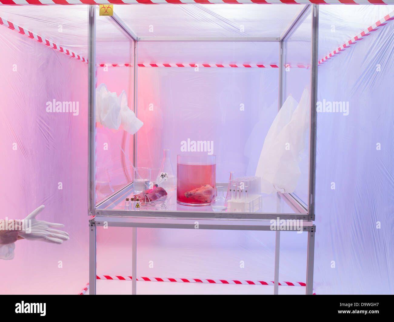 sterile chamber in containment tent with experiment glassware filled ...