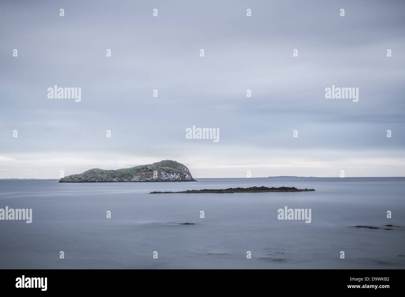 Craigleith Island Stock Photos & Craigleith Island Stock Images - Alamy