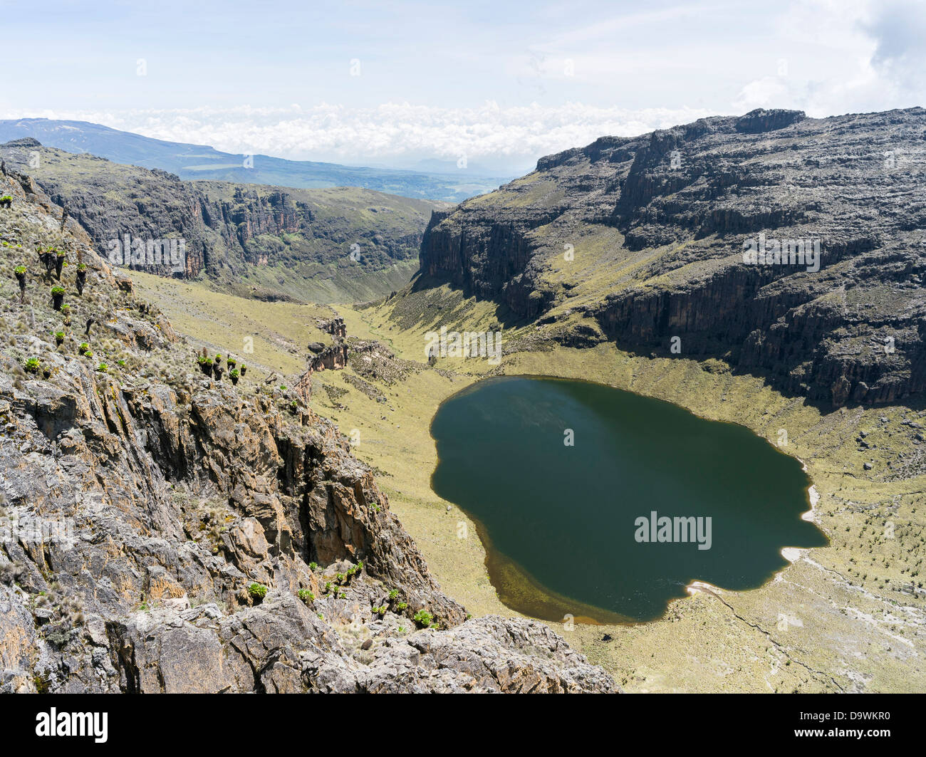 Central Mount Kenya National Park (a UNESCO World Heritage Site), Kenya ...