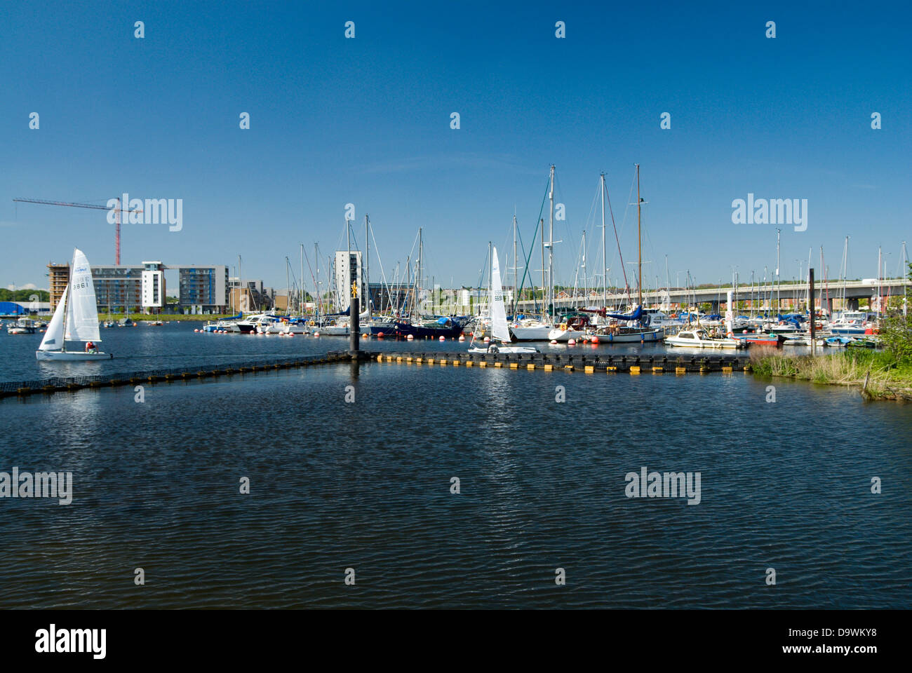Cardiff bay yacht club hi-res stock photography and images - Alamy