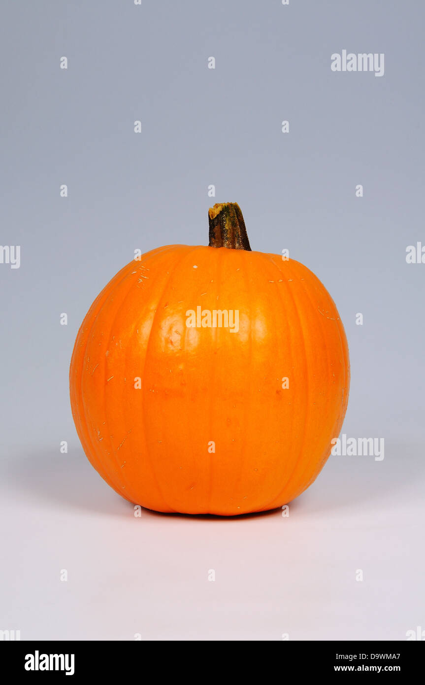 Whole grey pumpkin hi-res stock photography and images - Alamy