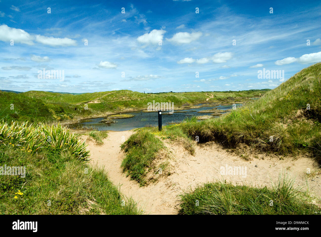 Flooded dune slack, Kenfig National Nature Reserve near Port Talbot ...