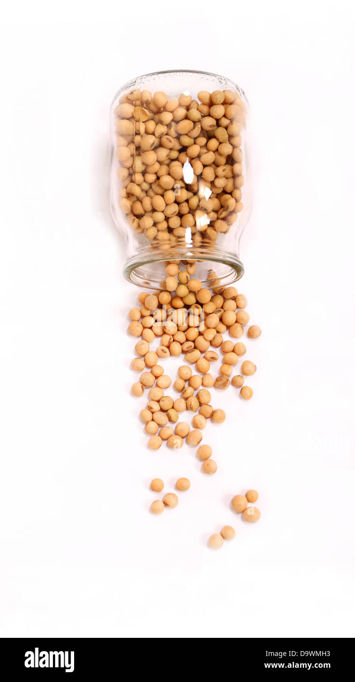 Soybean plant Cut Out Stock Images & Pictures - Alamy