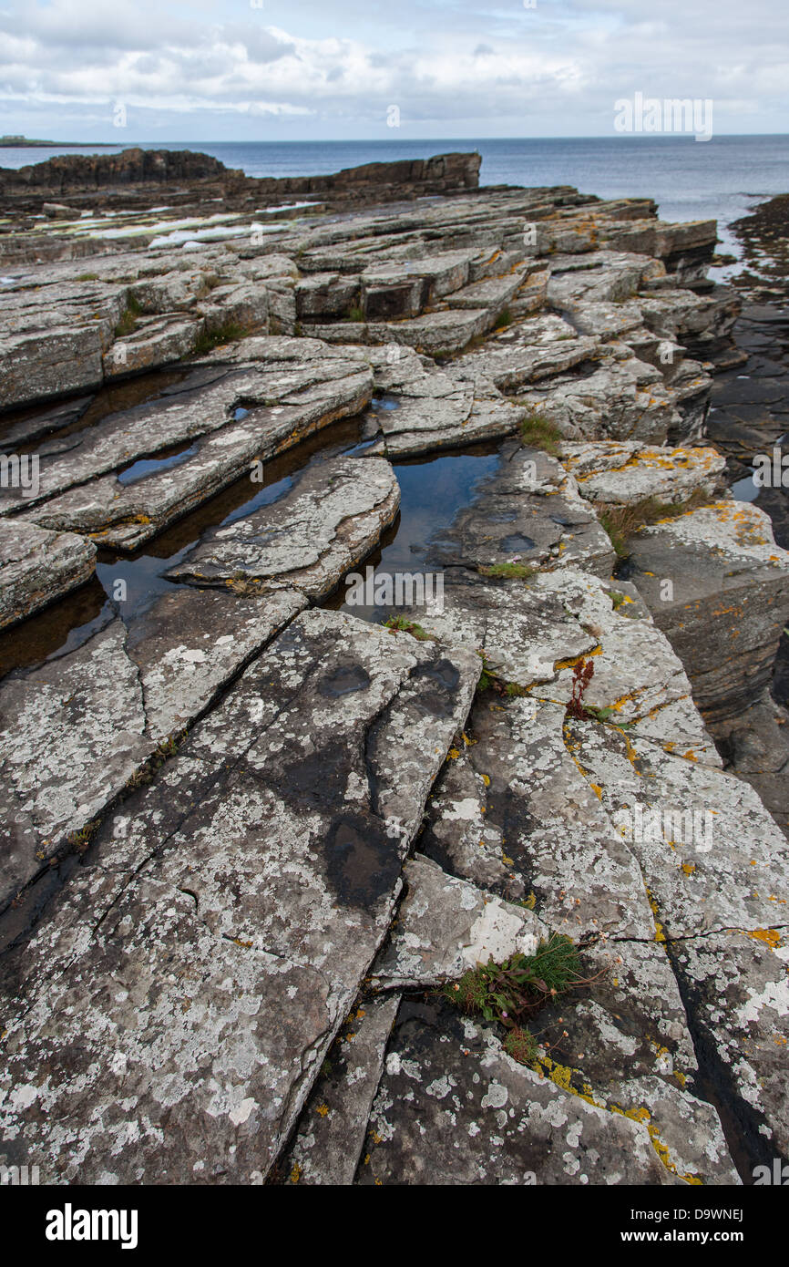 Cliff face (Scotland, Wick) showing rock layers Stock Photo - Alamy