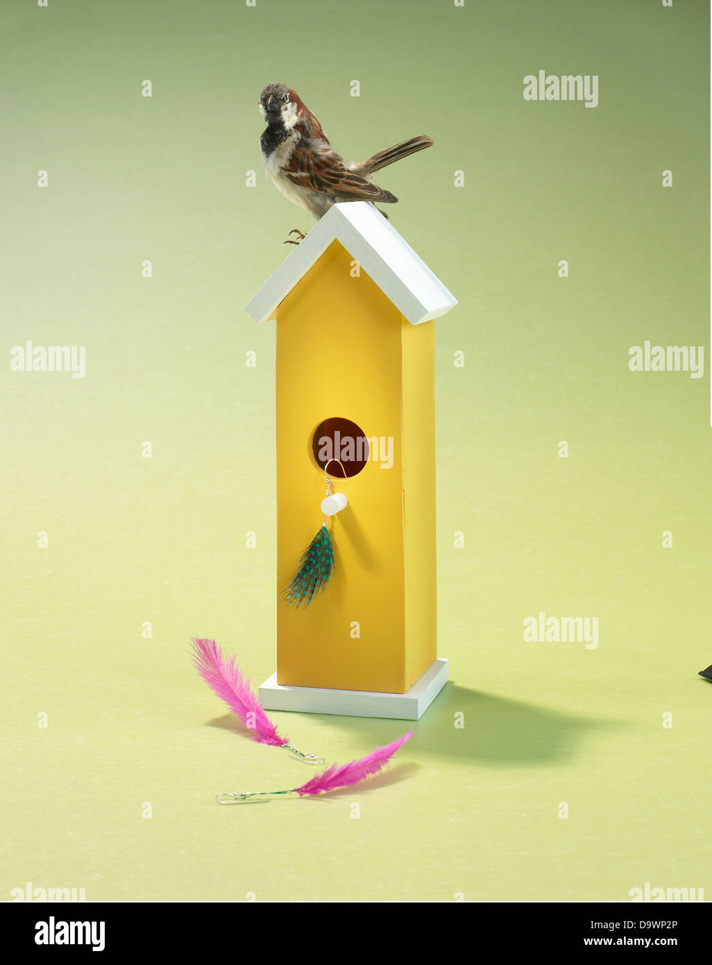 classic bird house Stock Photo - Alamy