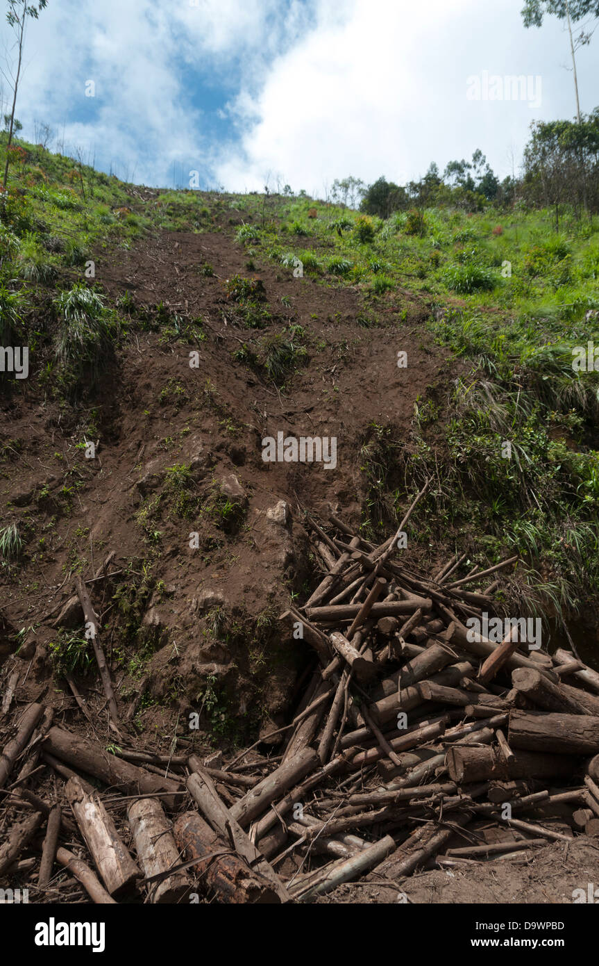 Kerala deforestation hi-res stock photography and images - Alamy