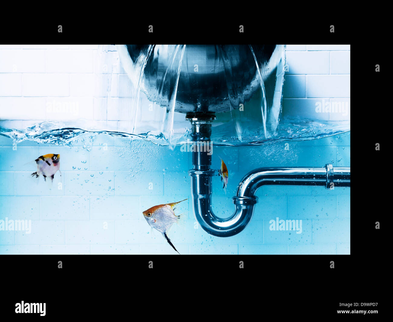 Water leak hi-res stock photography and images - Alamy