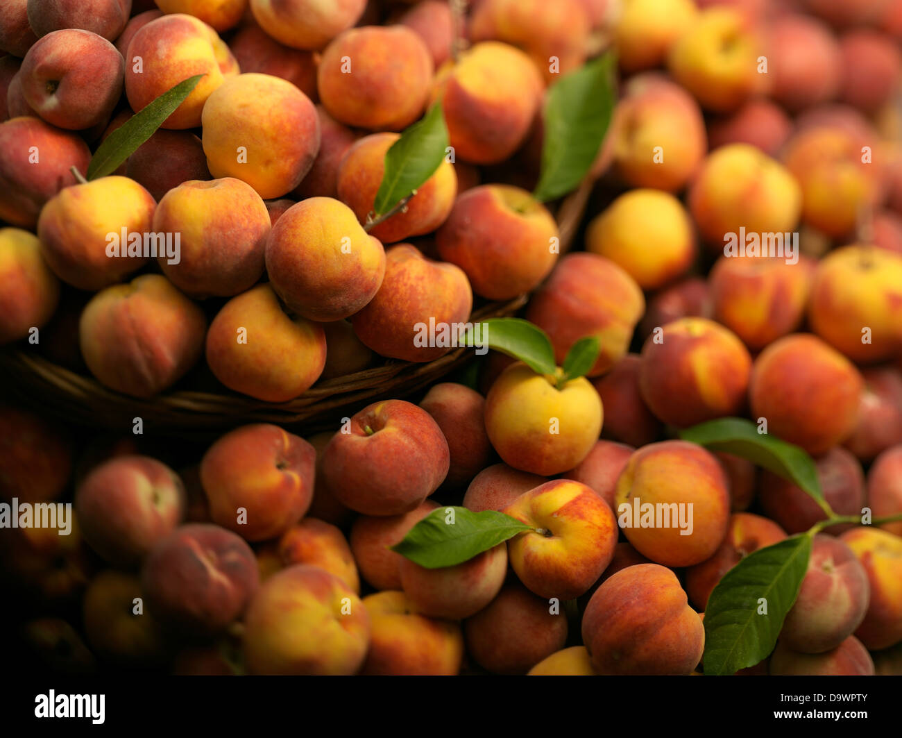 stand of peaches Stock Photo - Alamy