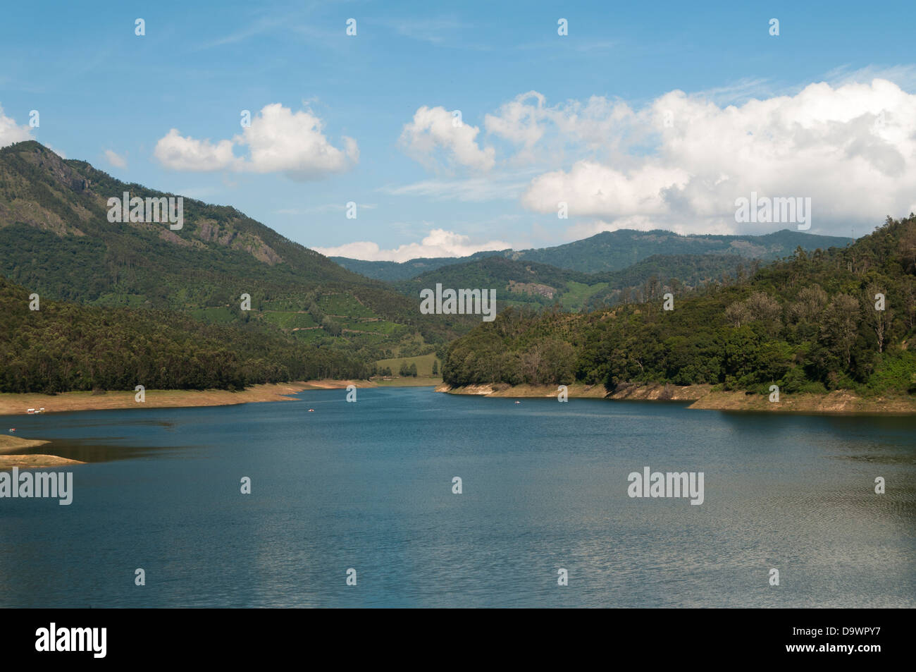 Mattupetty Dam reservoir, near Munnar, Kerala Stock Photo - Alamy