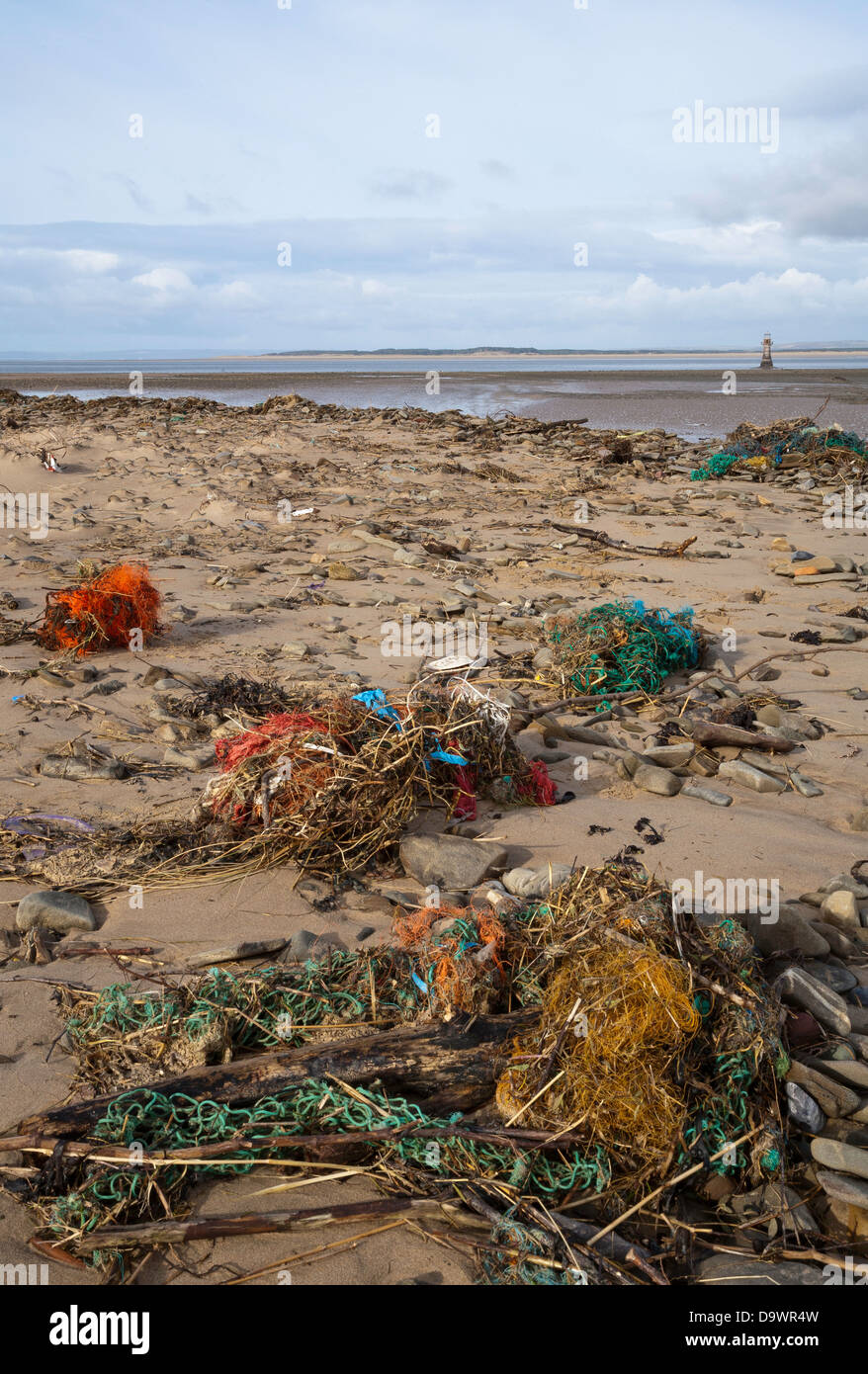 Detritus hi-res stock photography and images - Alamy