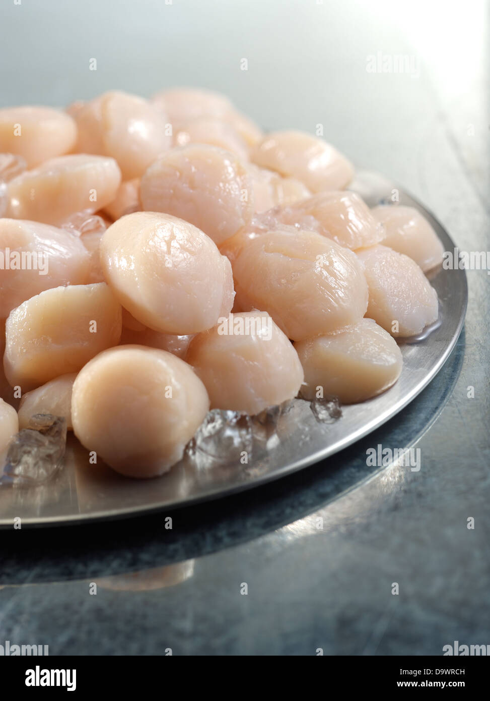 Frozen scallops hi-res stock photography and images - Alamy
