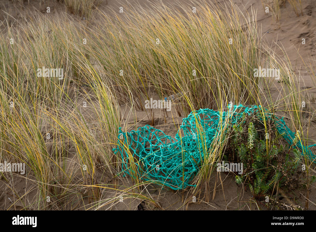 Fishing debris and other detritus washed up on the beach at Whiteford ...