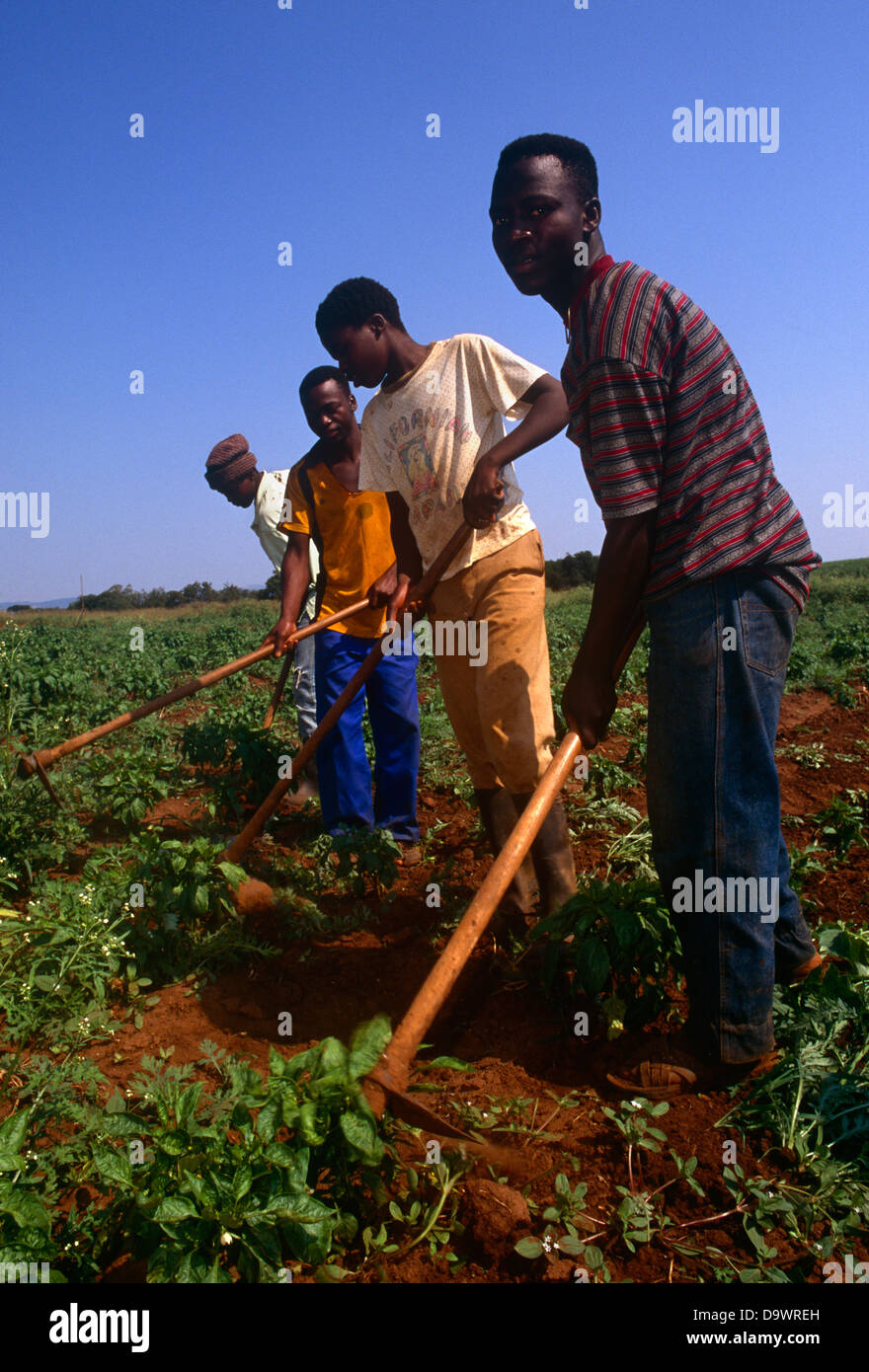Swaziland industry hi-res stock photography and images - Alamy