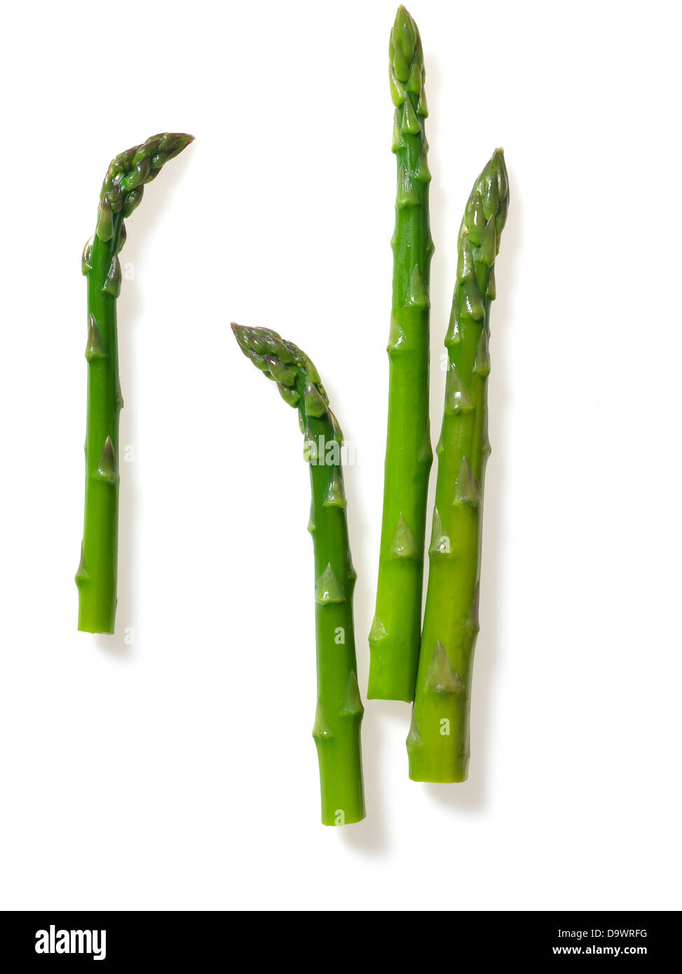 Aspergus hi-res stock photography and images - Alamy