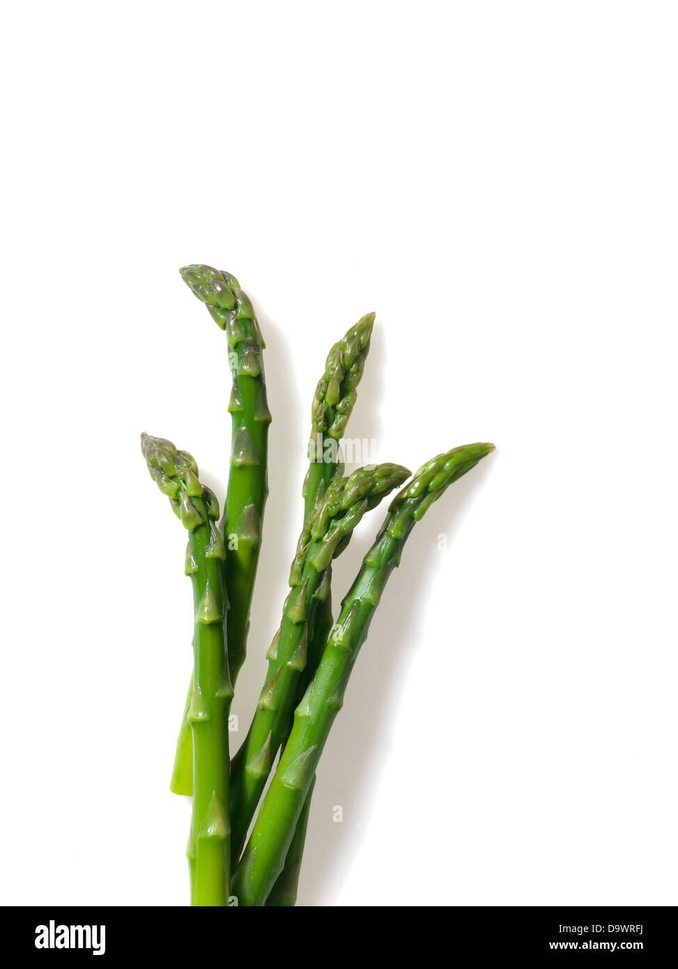 Aspergus hi-res stock photography and images - Alamy