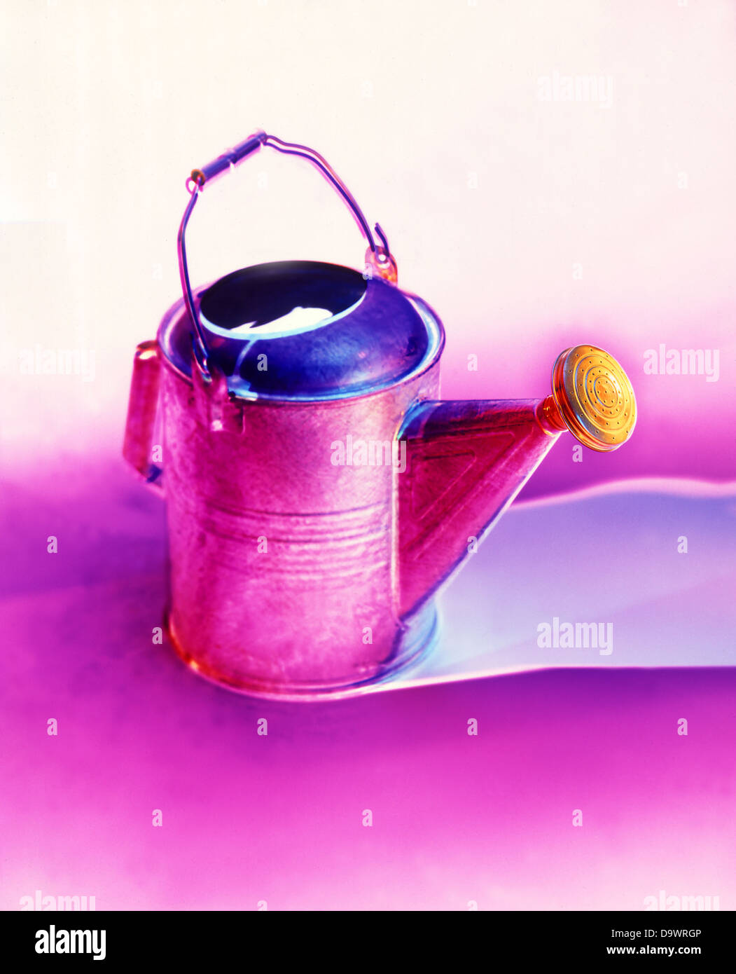 pink watering can Stock Photo - Alamy